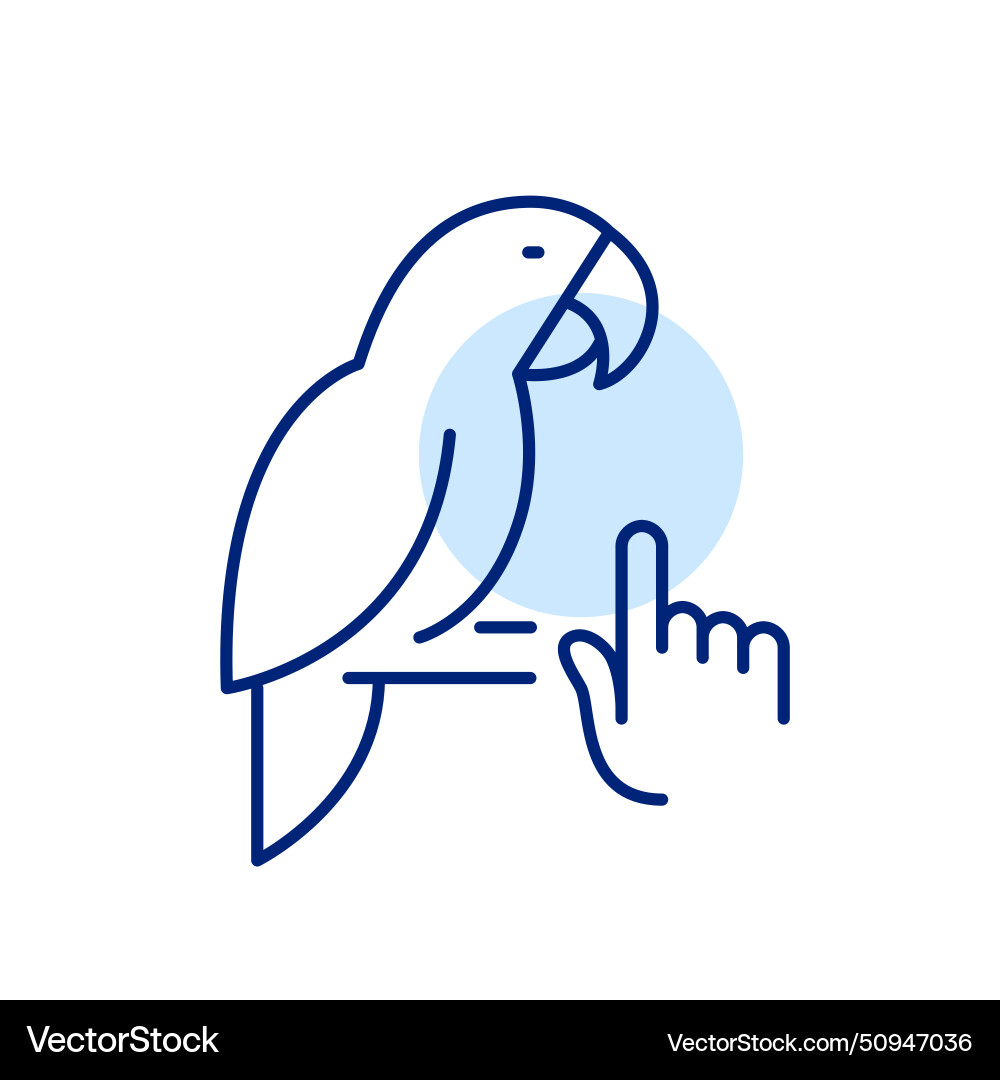 Bird pet adoption finger tapping on parrot Vector Image