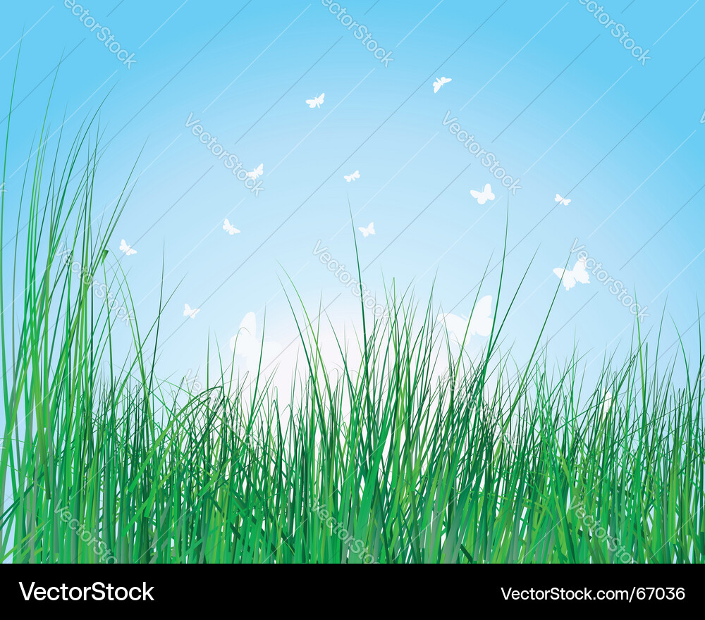 Lush grass background Royalty Free Vector Image