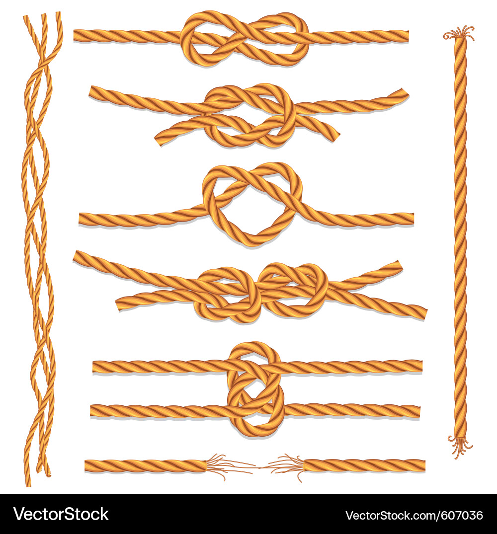 Set of ropes and knots Royalty Free Vector Image