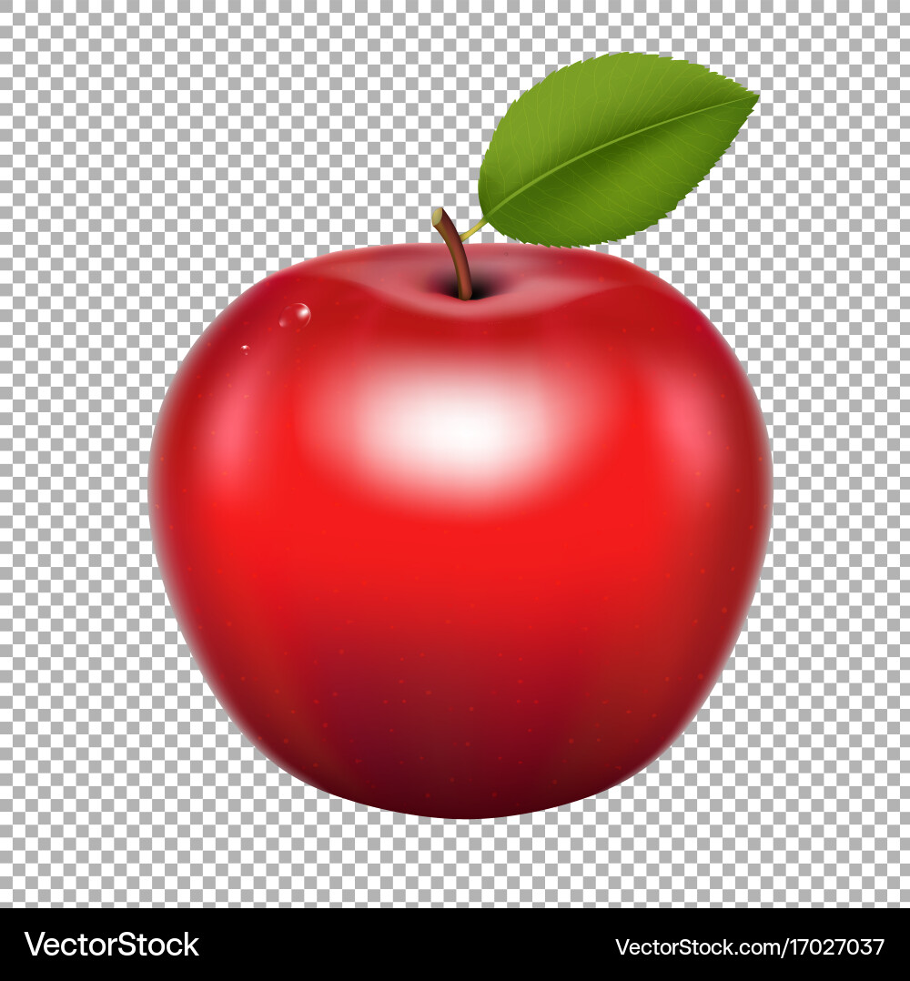 Red apple Royalty Free Vector Image - VectorStock