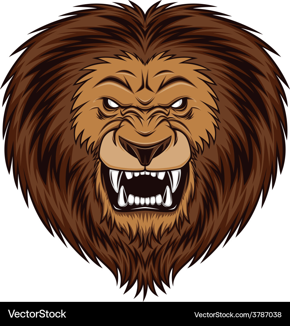 Angry lion Royalty Free Vector Image - VectorStock