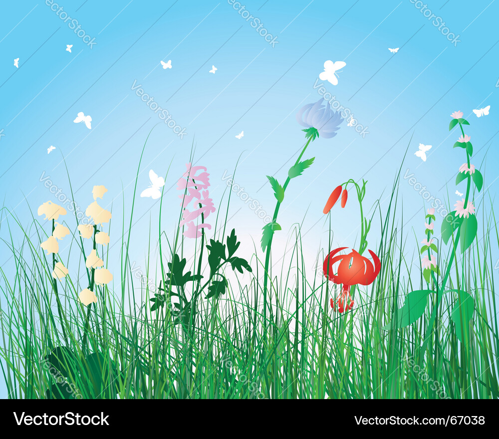 Grass Royalty Free Vector Image - VectorStock