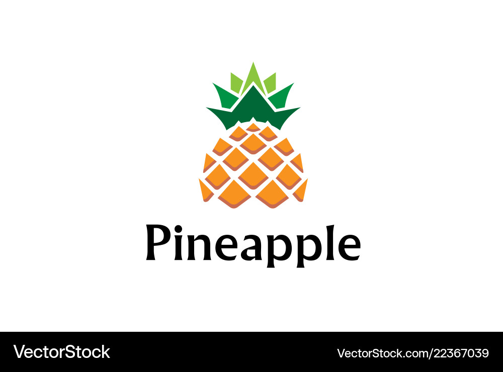 Geometric Pineapple Logo Royalty Free Vector Image