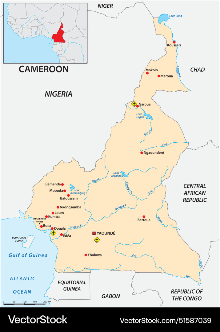Simple map of the african state cameroon Vector Image