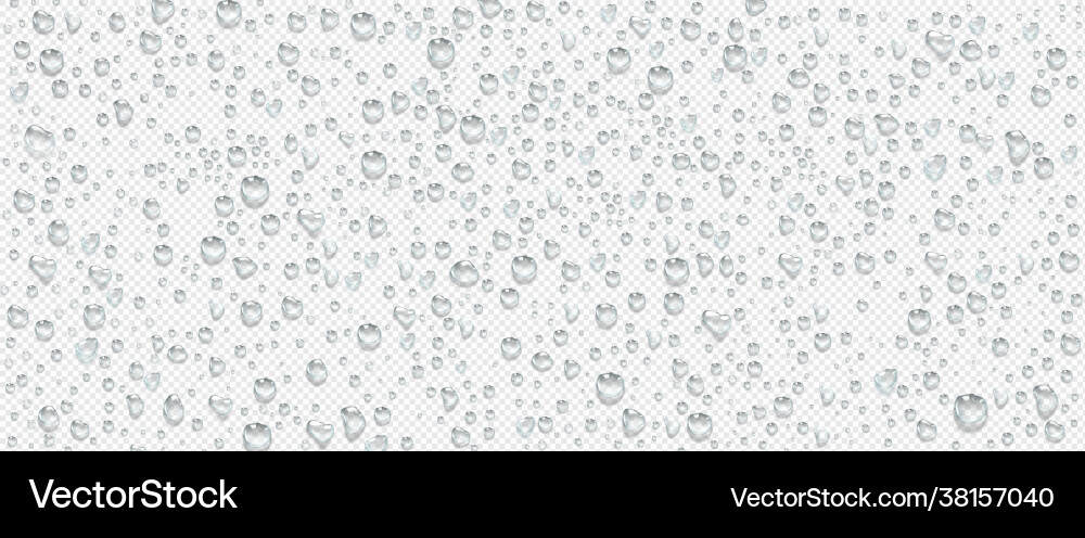 Condensation water drops on transparent background