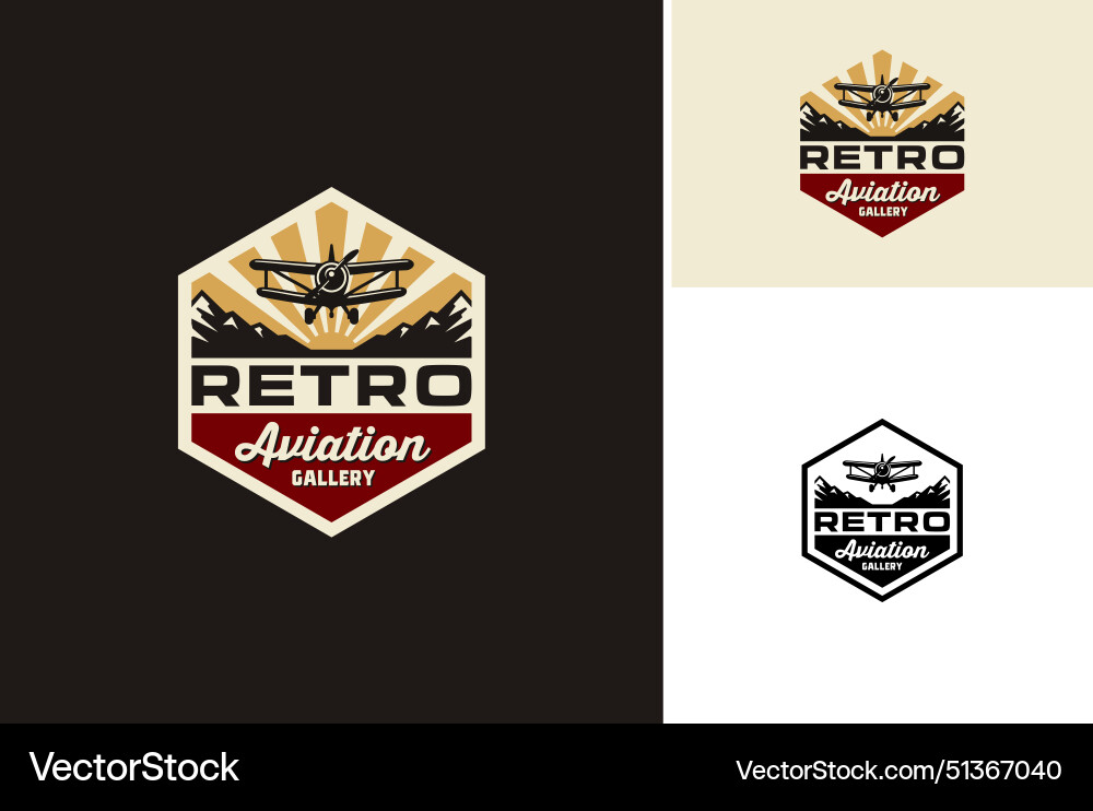 Vintage plane mountain aviation flight retro logo Vector Image