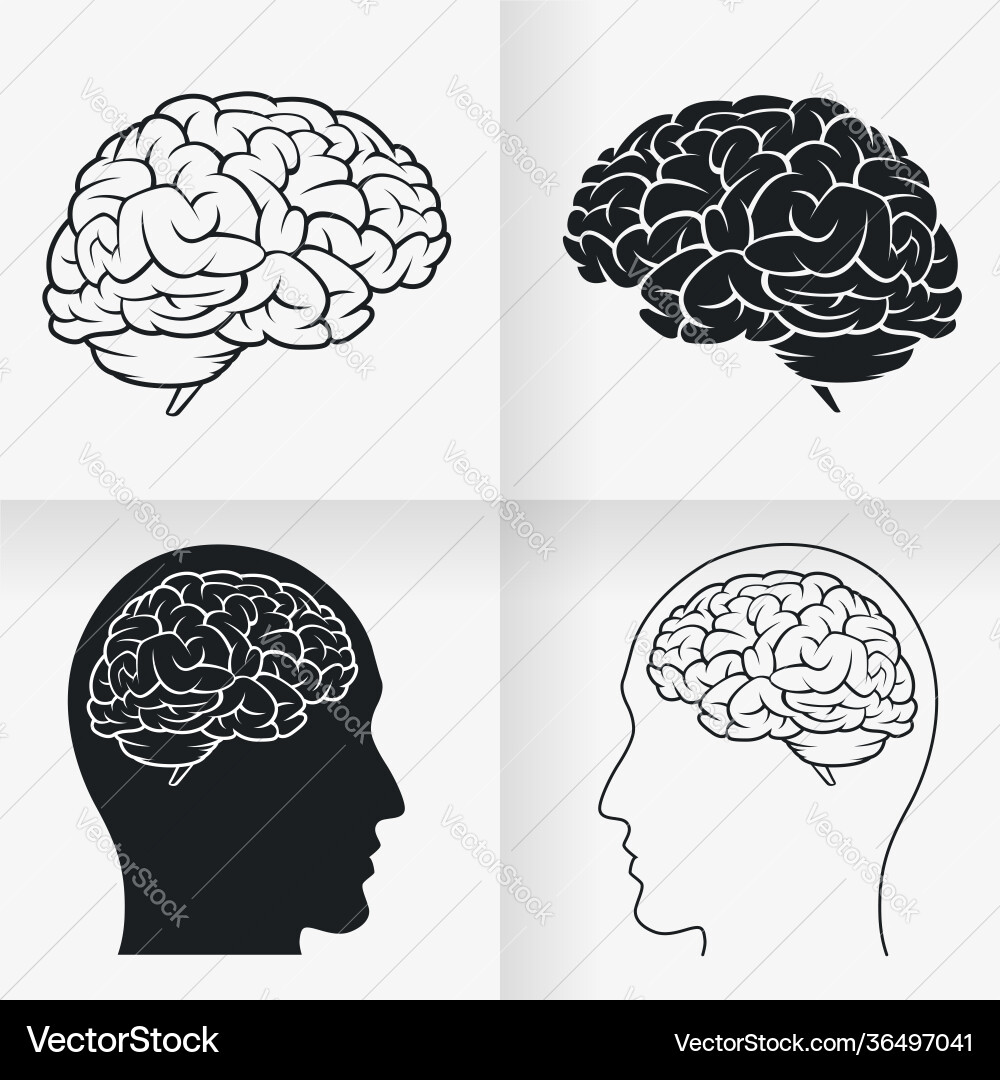 Brain Png Vector Images (over 400)