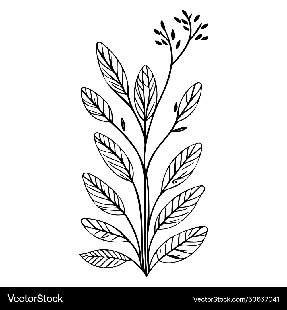 Spring grass leaf easter butterfly sketch hand Vector Image