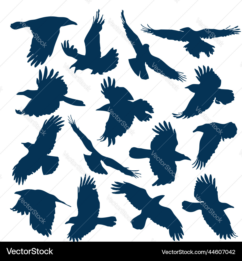 Flying crows Royalty Free Vector Image - VectorStock