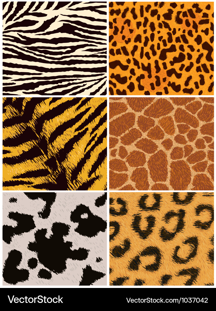 Fur texture Royalty Free Vector Image - VectorStock