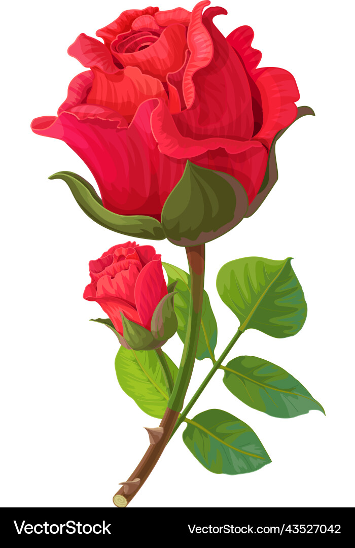 Realistic rose flower art Royalty Free Vector Image
