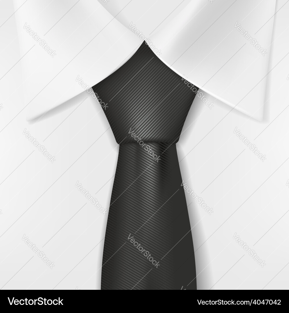 Weißes Hemd und schwarze Krawatte Lizenzfreies Vektorbild