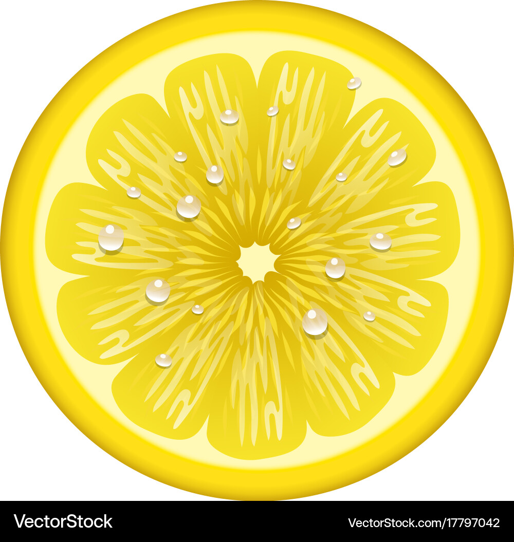 Yellow lemon fruits s Royalty Free Vector Image