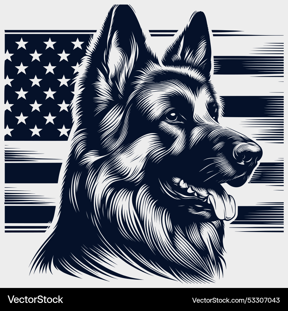 German shepherd dog with american flaggerman shep Vector Image