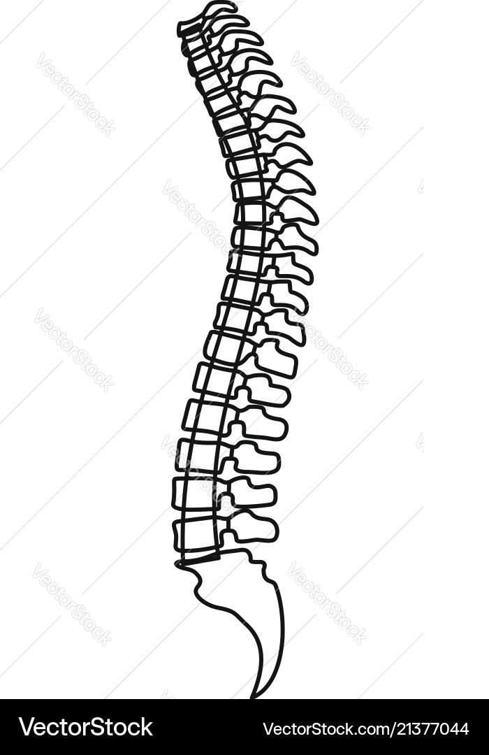 Spine icon outline style Royalty Free Vector Image