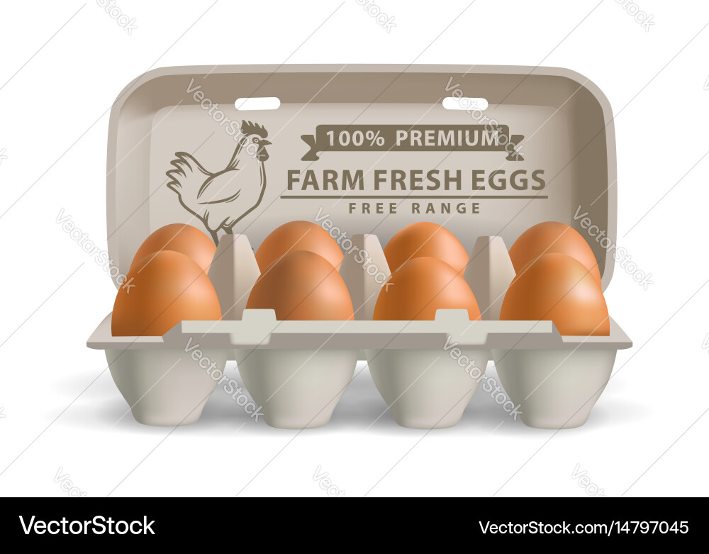 Eggs Royalty Free Vector Image - VectorStock