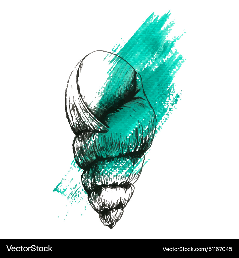 Watercolor with graphics a shell Royalty Free Vector Image