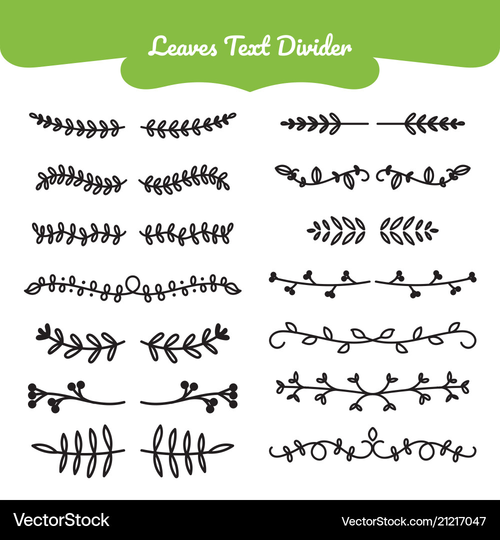 Floral Leaf Divider Text Royalty Free Vector Image
