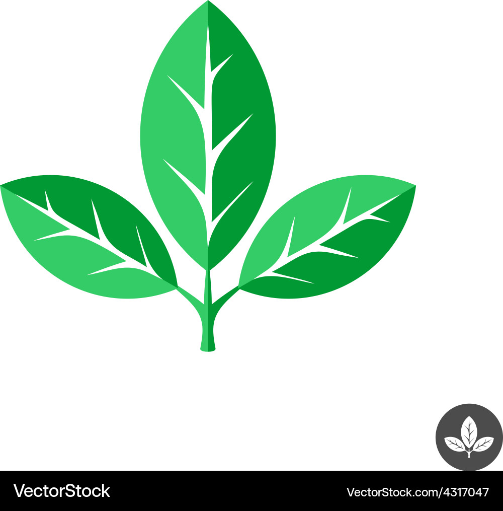 3 Green Leaves Logo