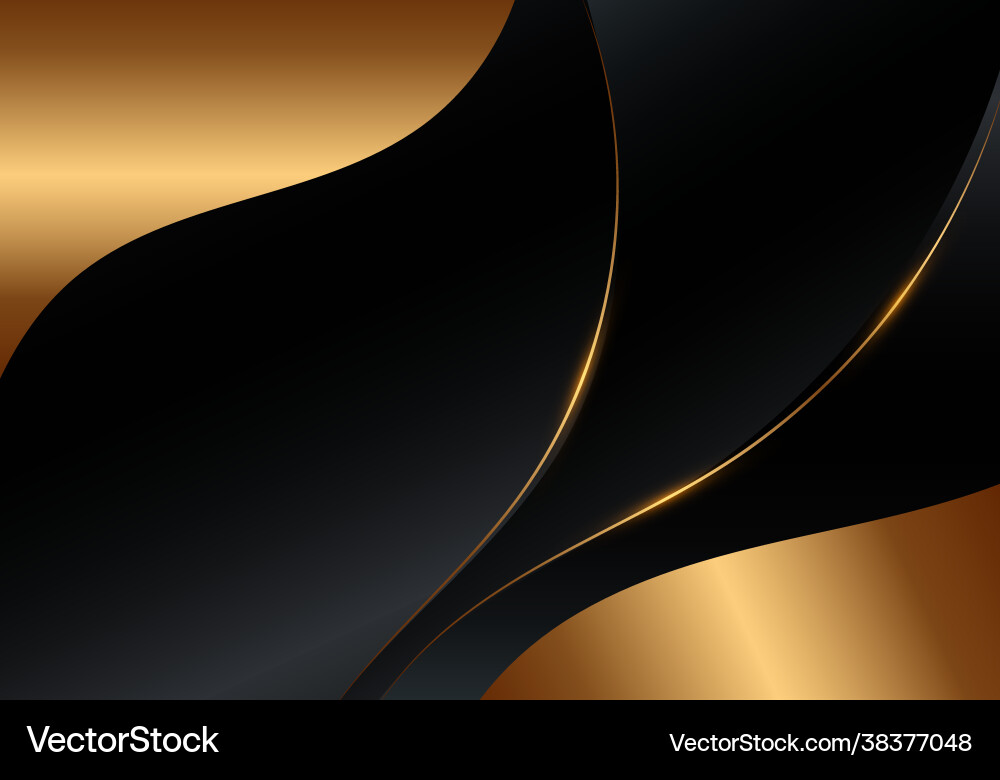 Abstract black golden smooth wave shape and lines Vector Image