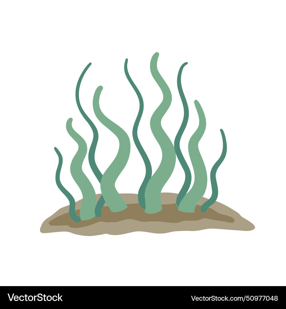 Algae on seabed Royalty Free Vector Image - VectorStock