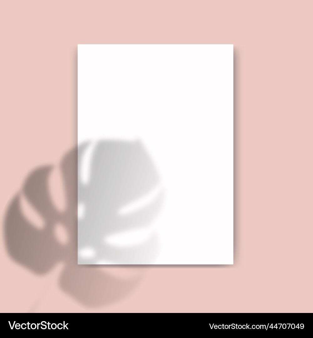 A4 paper mockup with overlay leaf shadow from Vector Image