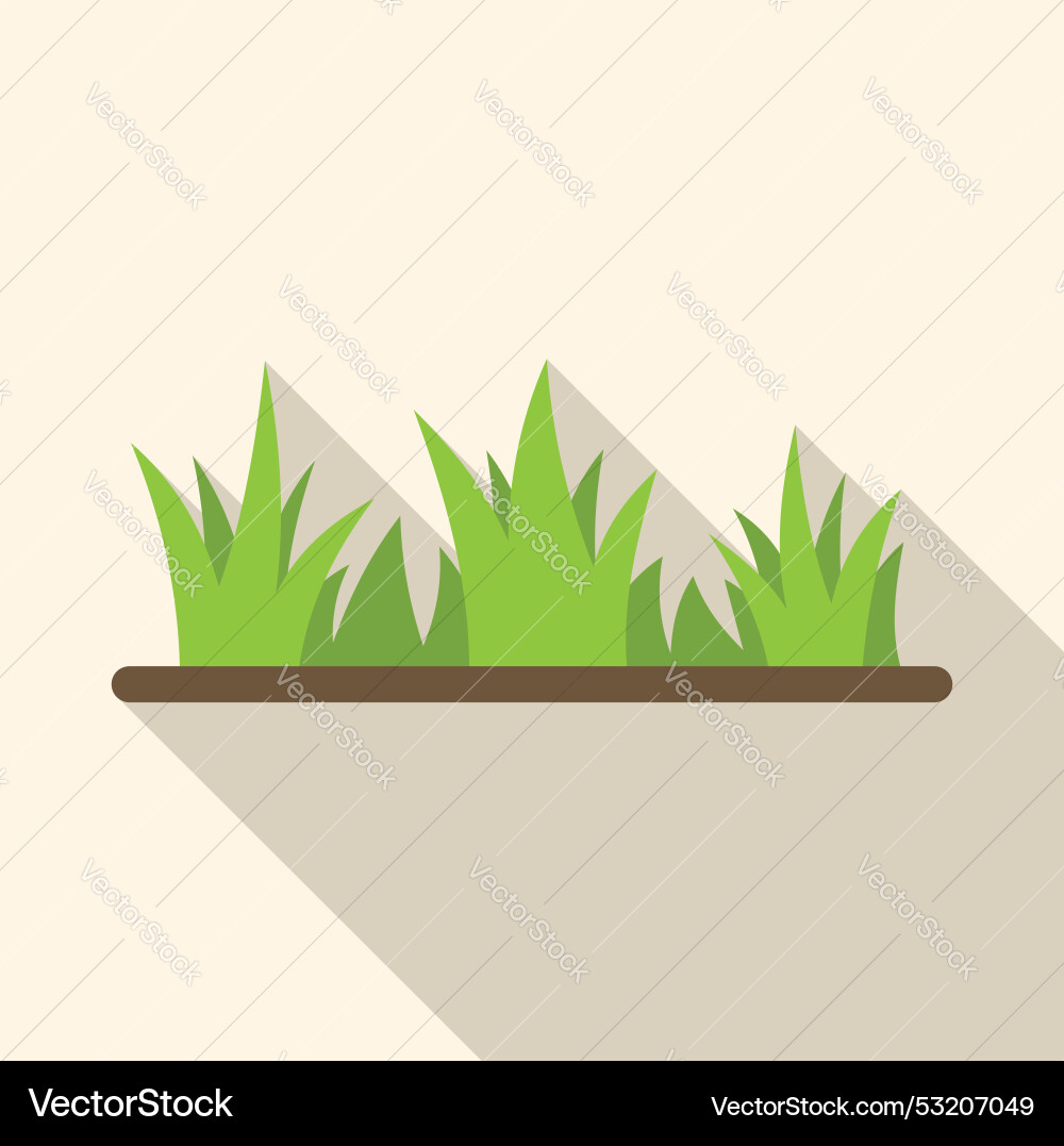 Green grass growing from ground with long shadow Vector Image