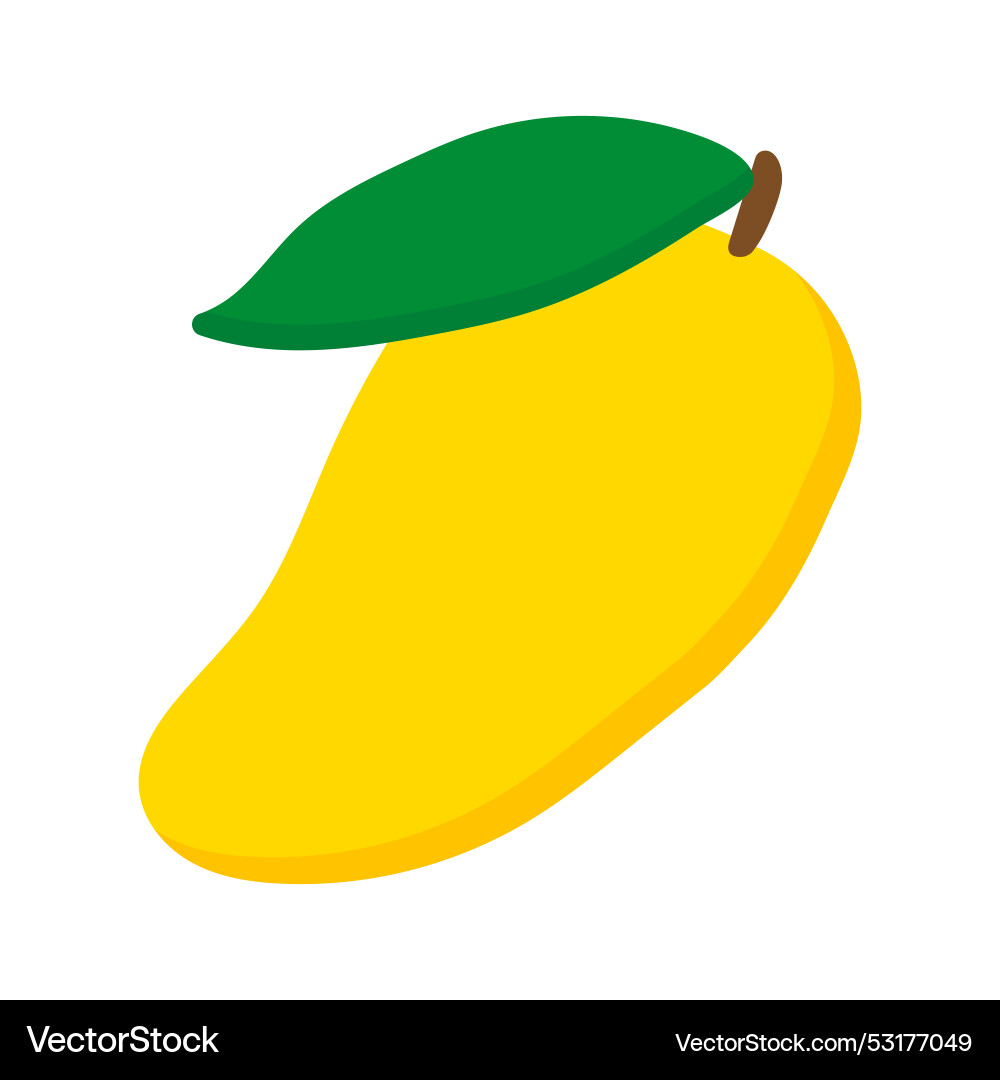 Mango picture Royalty Free Vector Image - VectorStock