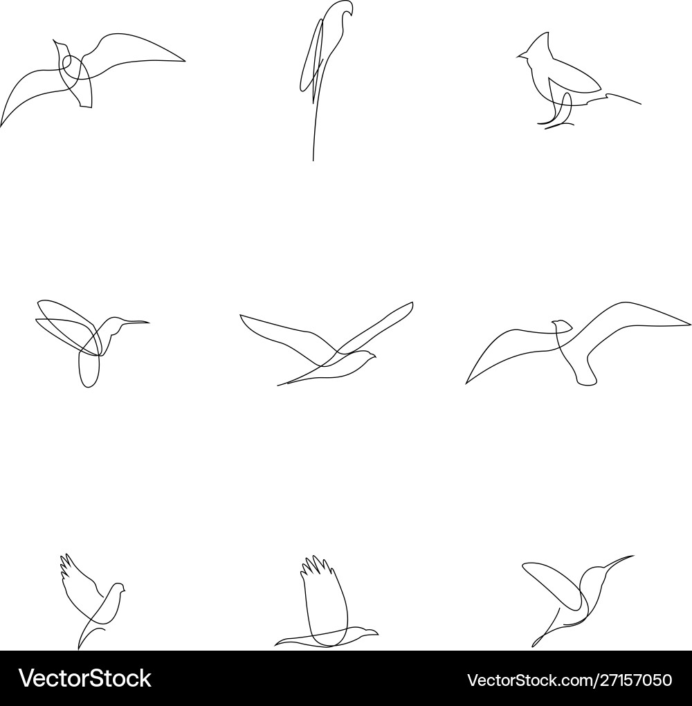 One line bird set birds collection hand drawn Vector Image