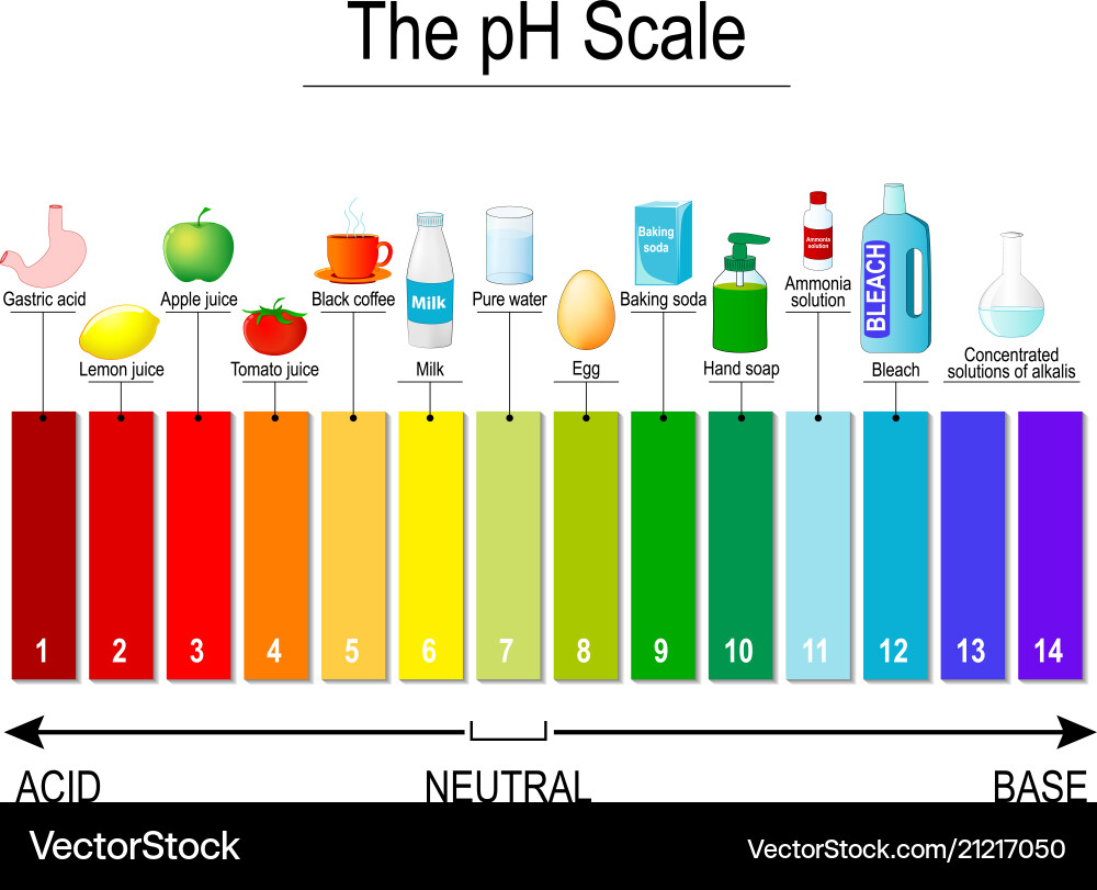 Ph scale universal indicator test strips Vector Image