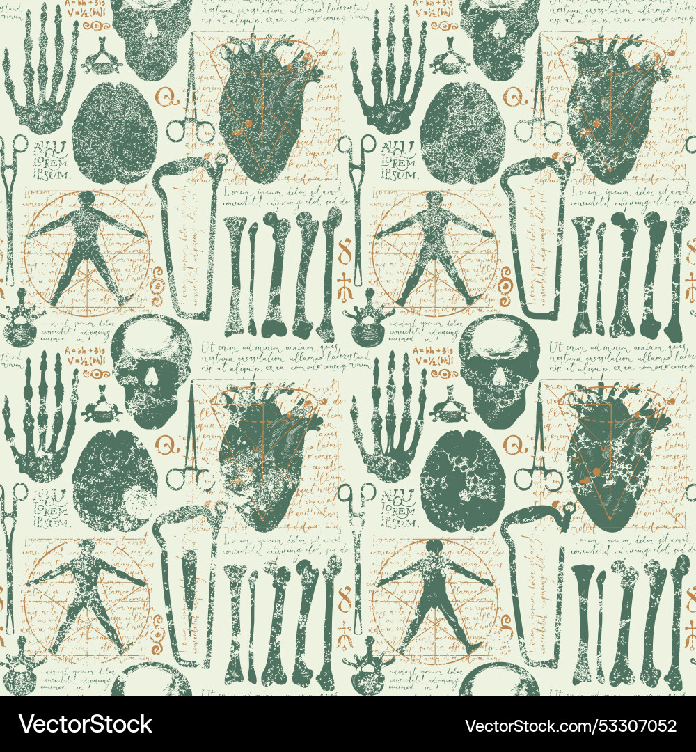 Anatomy seamless pattern on medical theme Vector Image