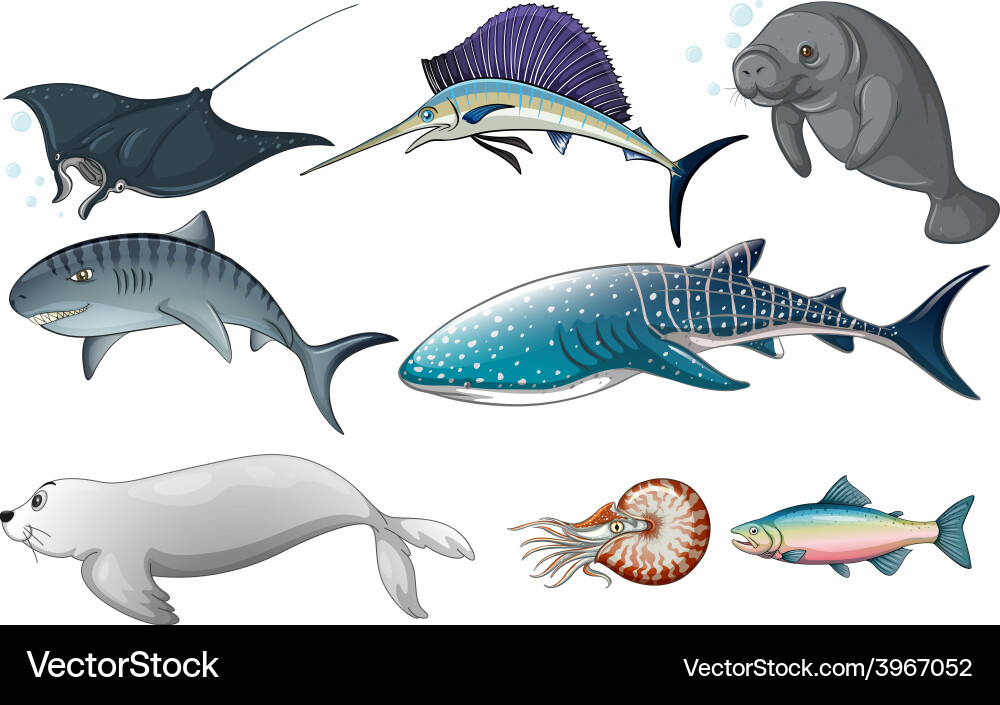 Ocean animals Royalty Free Vector Image - VectorStock