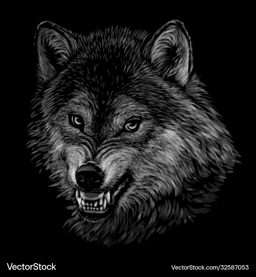 Angry wolf monochrome portrait a wolfs head Vector Image