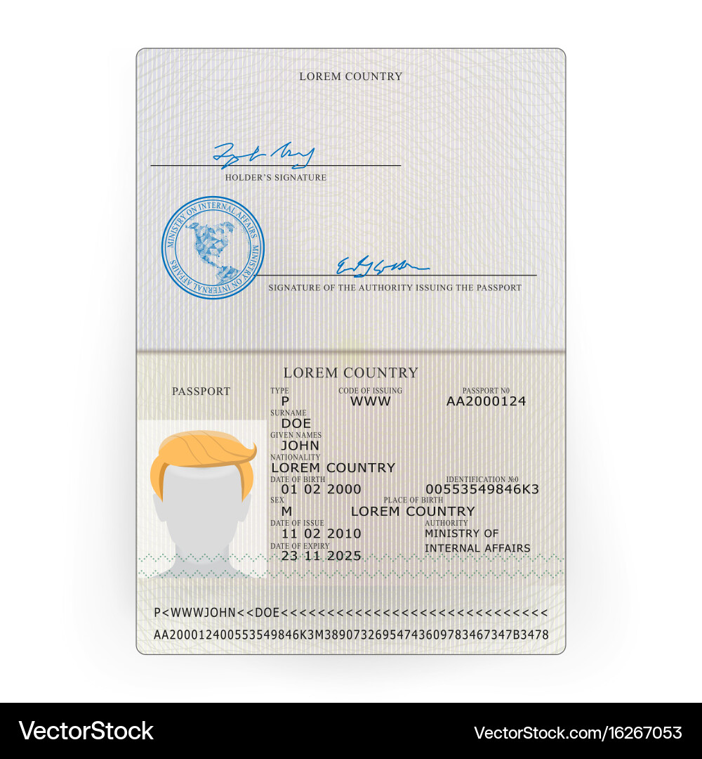 Blank International Passport Template Royalty Free Vector