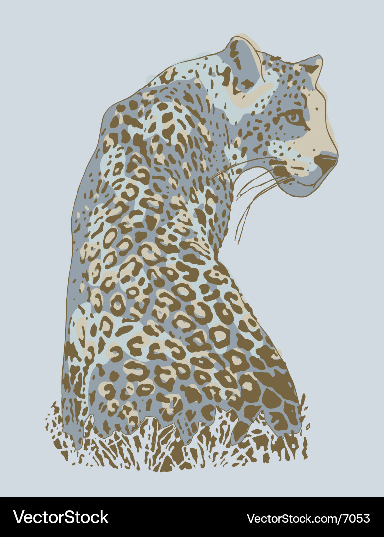 Wild cat Royalty Free Vector Image - VectorStock