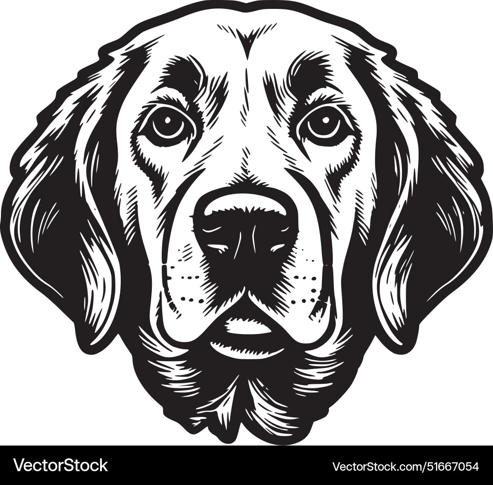 Labrador retriever - high quality logo ideal Vector Image