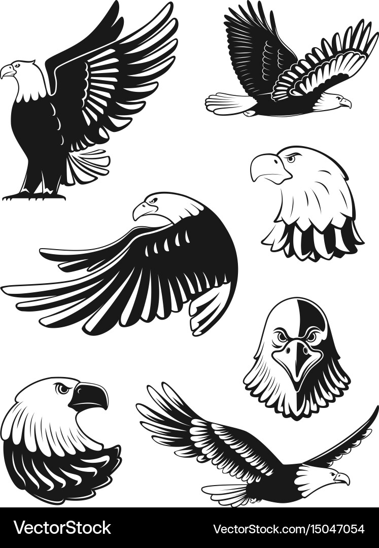 Monochrome set of eagles Royalty Free Vector Image