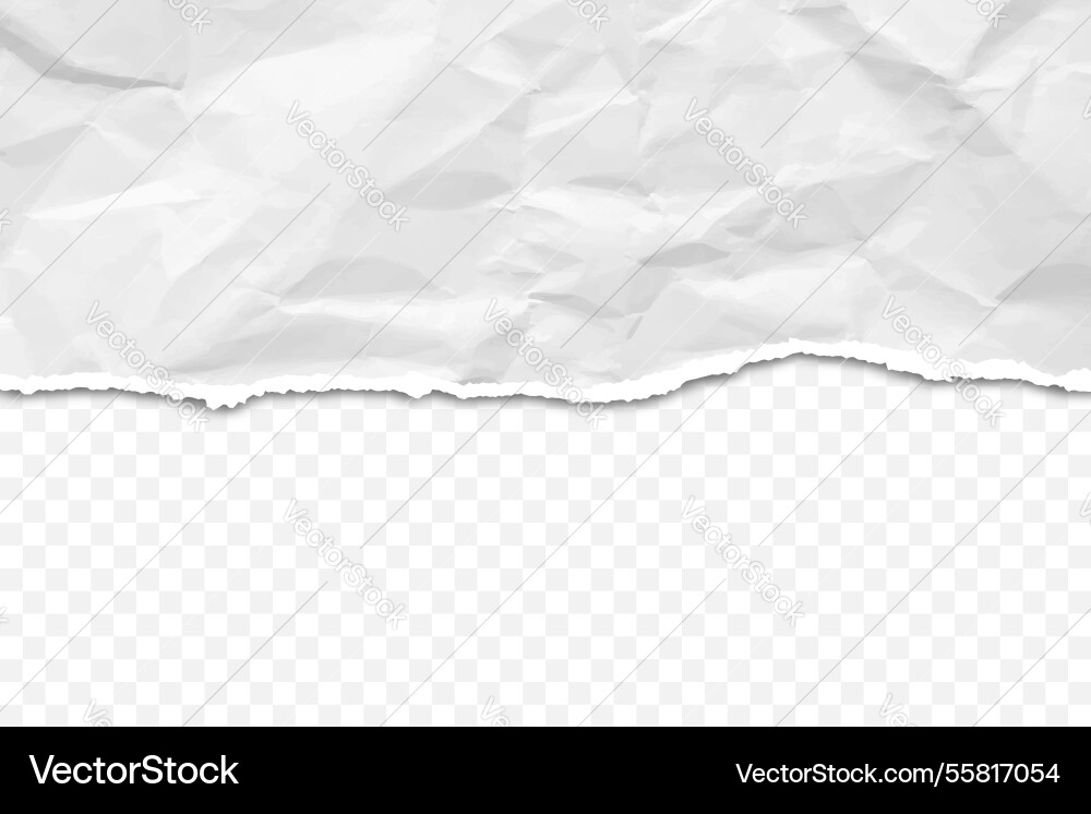 Torn paper banner Royalty Free Vector Image - VectorStock
