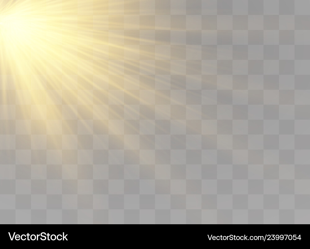 Transparent sunlight Royalty Free Vector Image