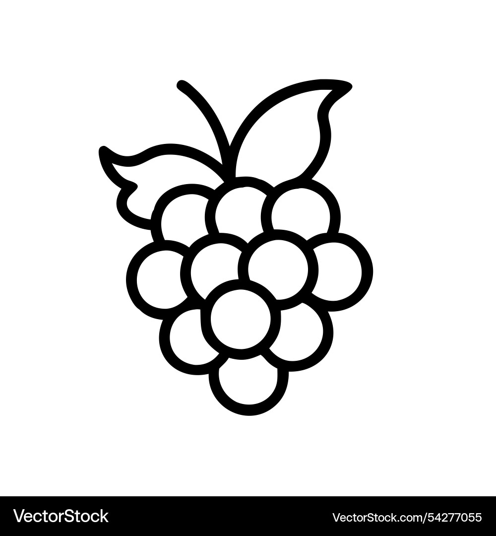 Blackberries icon fruits Royalty Free Vector Image