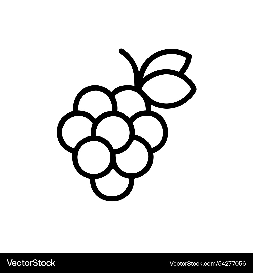 Blackberries icon fruits Royalty Free Vector Image