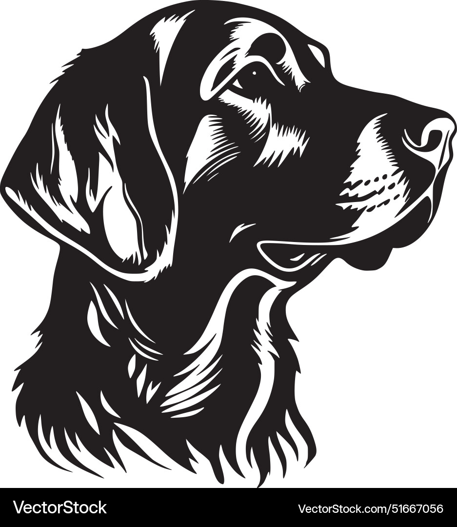 Labrador retriever - black and white Royalty Free Vector