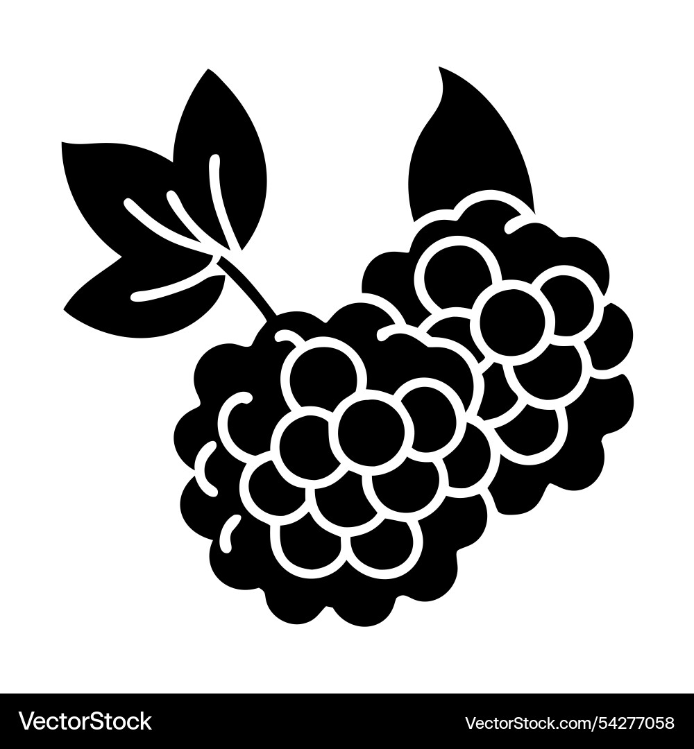 Blackberries icon fruits Royalty Free Vector Image