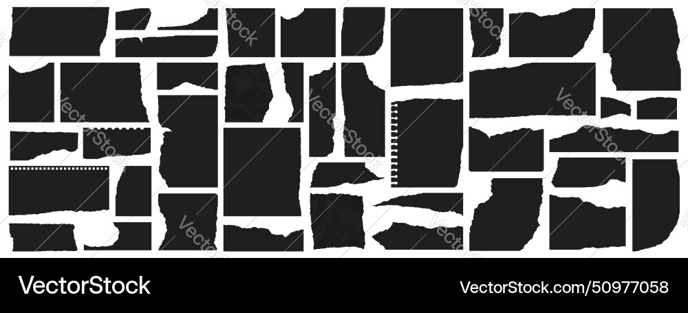 Rip stripe tear black torn paper ragged shred Vector Image