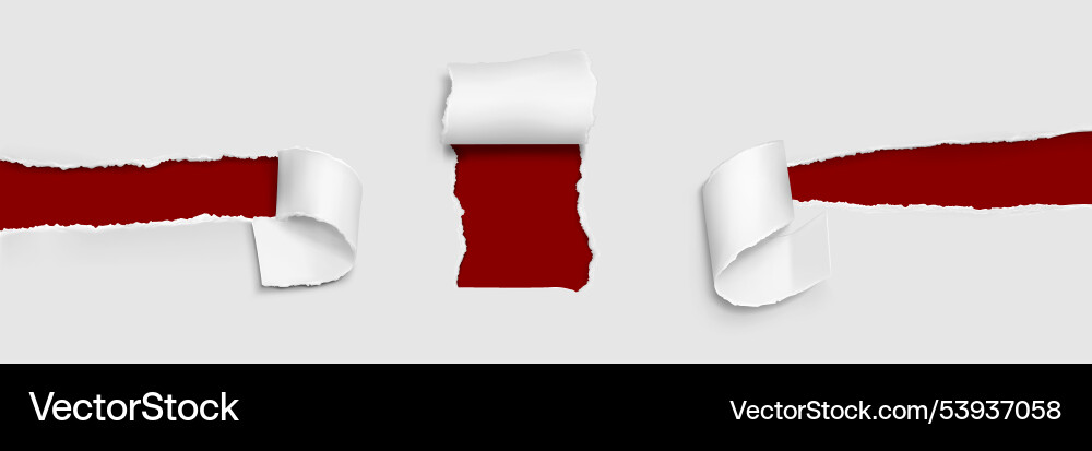 Torn paper rolls set Royalty Free Vector Image