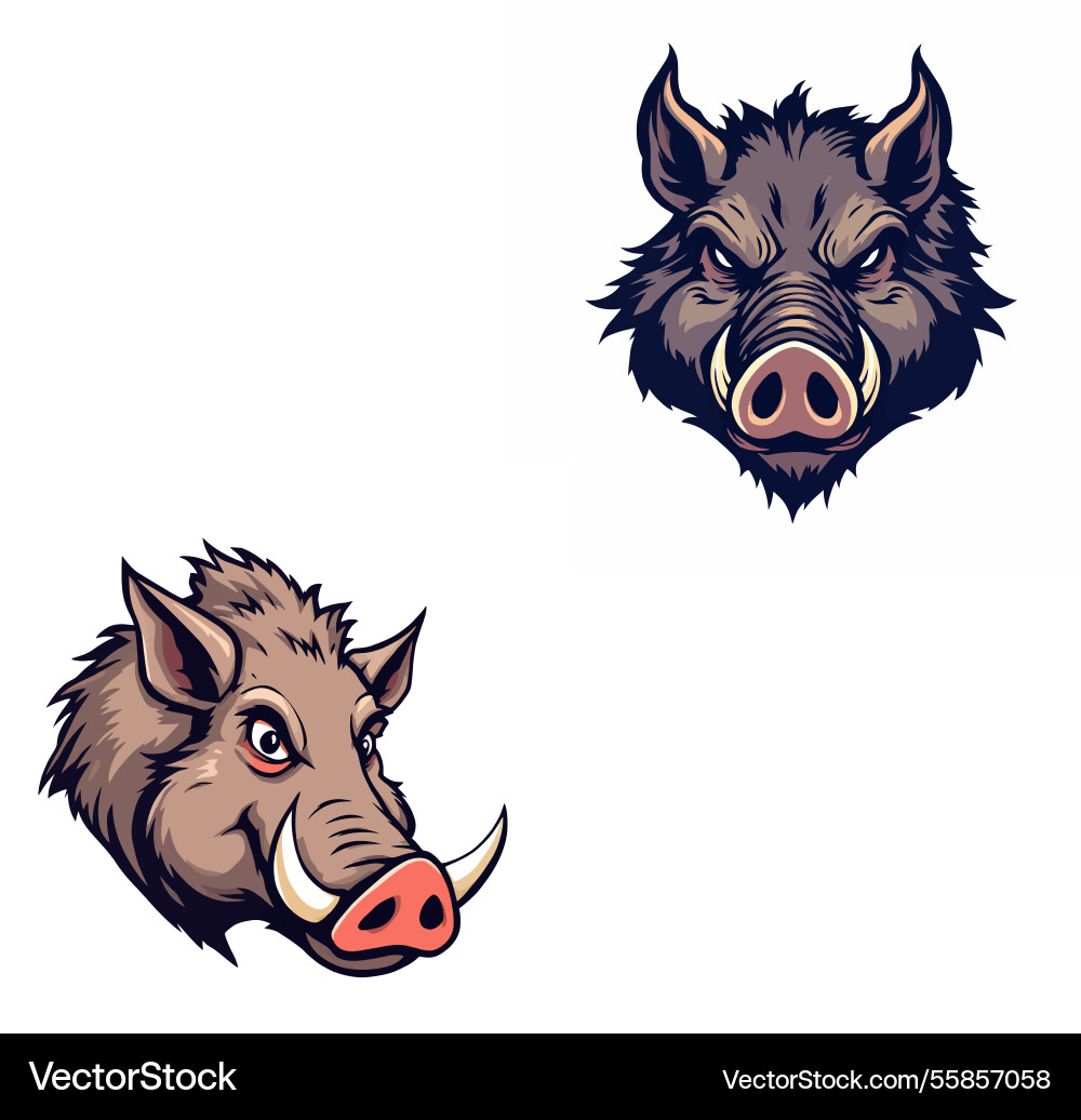 Two wild boar heads showing power and aggression – Royalty-Free Vector ...