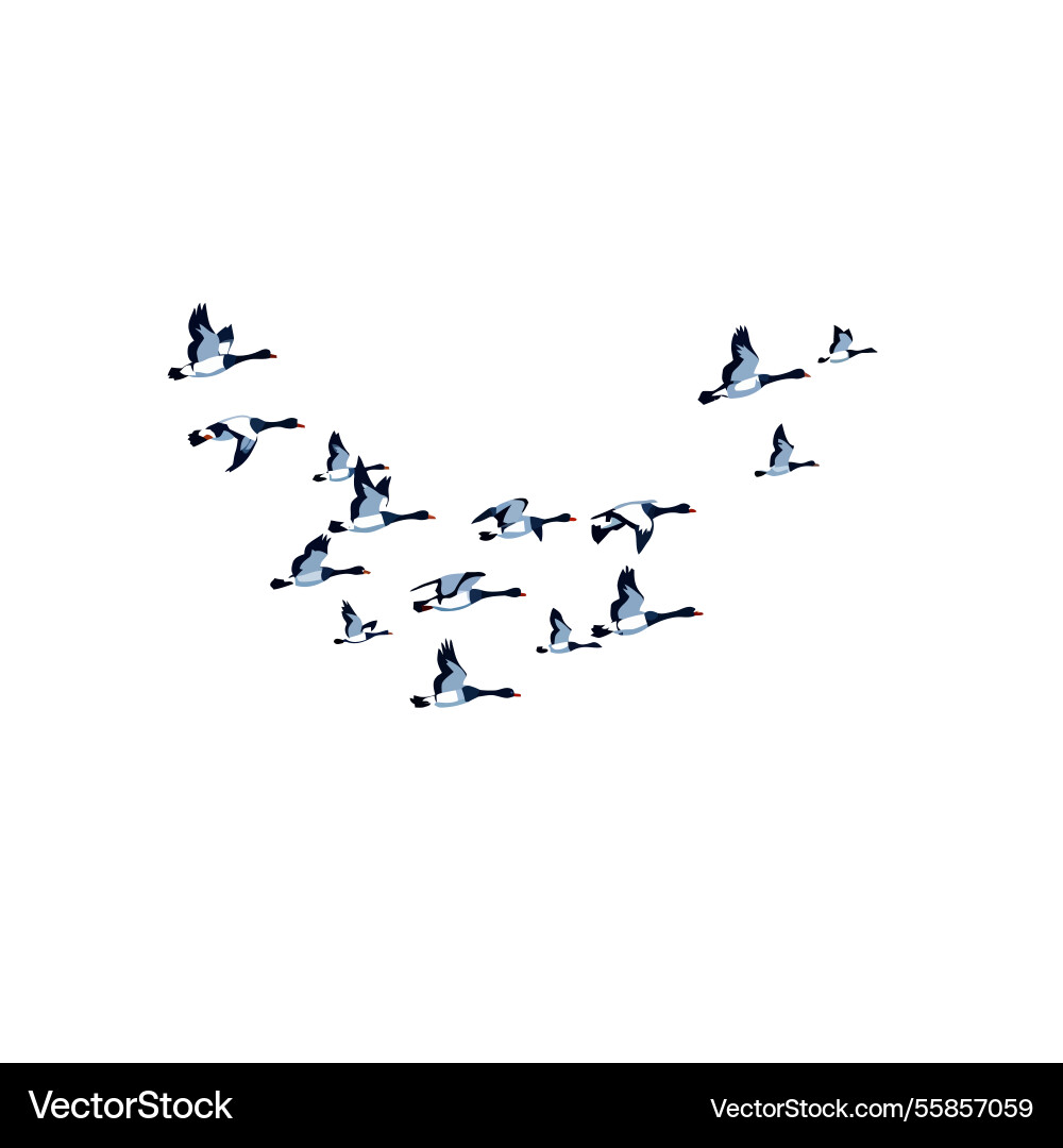 Ai-generated flock of barnacle geese flying in v Vector Image