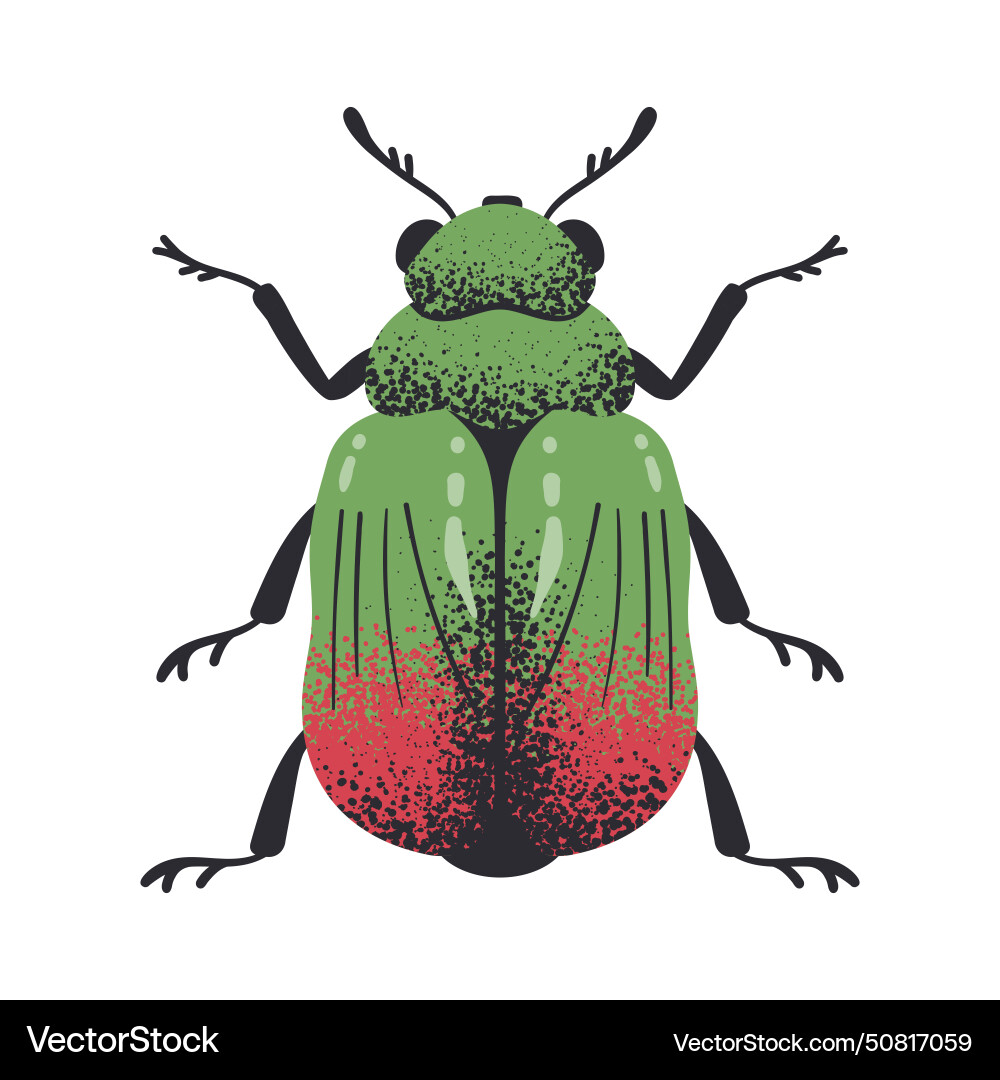 Hand drawn leaf beetle green striped bug Vector Image