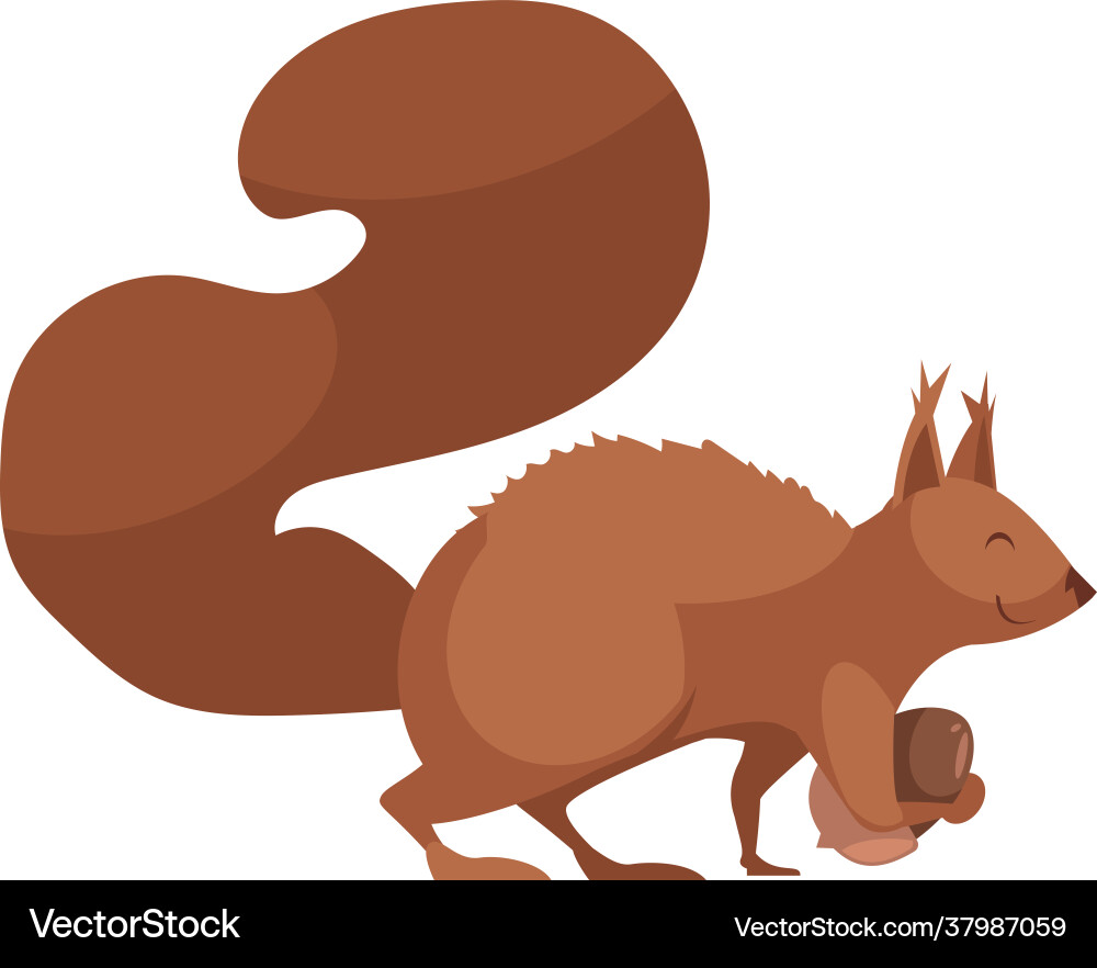 Squirrel cartoon Royalty Free Vector Image - VectorStock