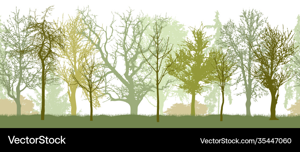 Seamless pattern spring park garden forest Vector Image